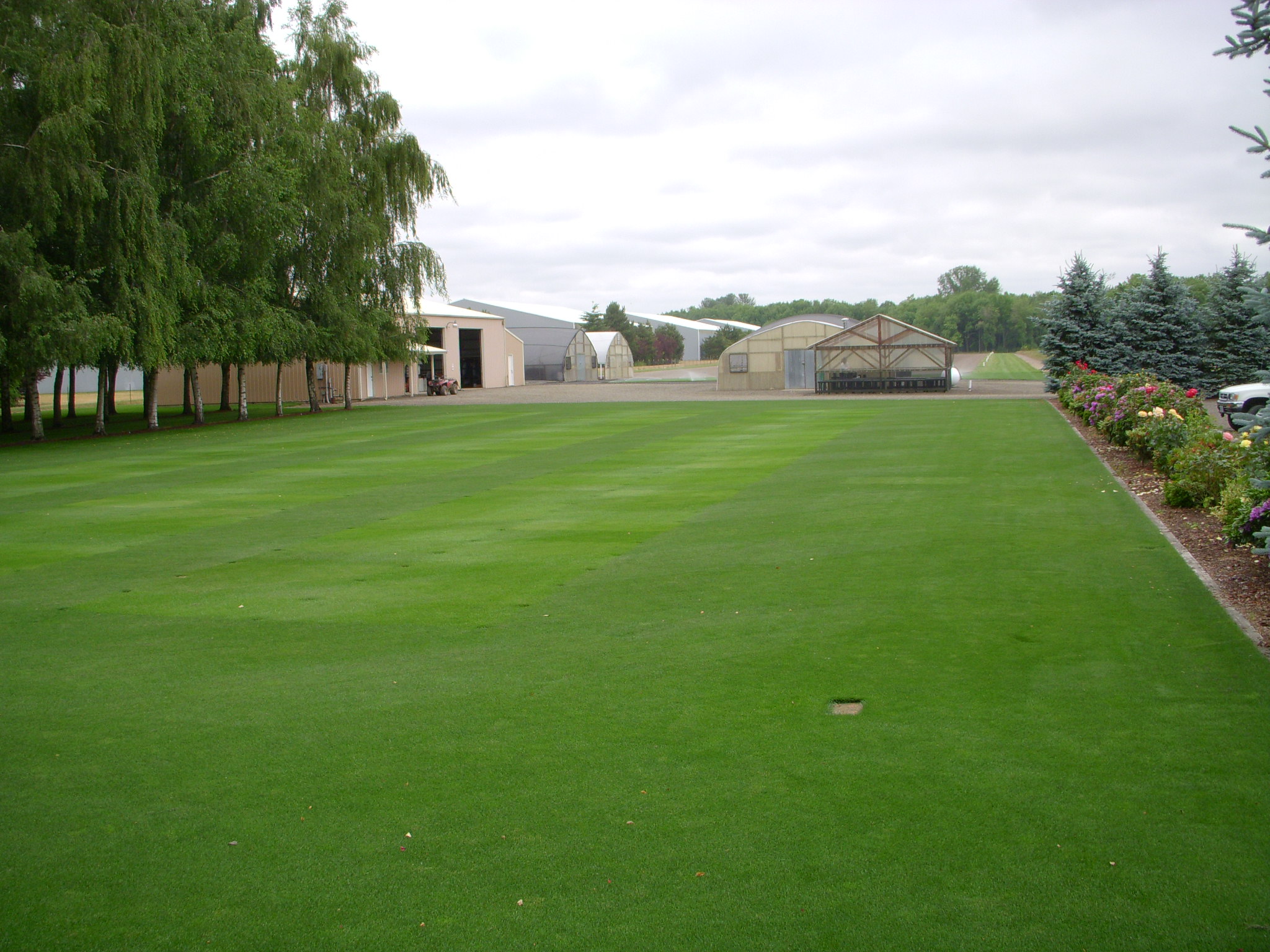 Turfgrass Breeders Association